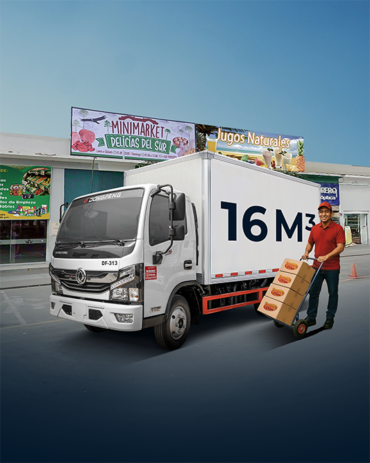 DF-816 (7 TN) DF-1014 GNV (7 TN) DF-1016 (7 TN) DF-1417 (10 TN) DF-1718 (12 TN)